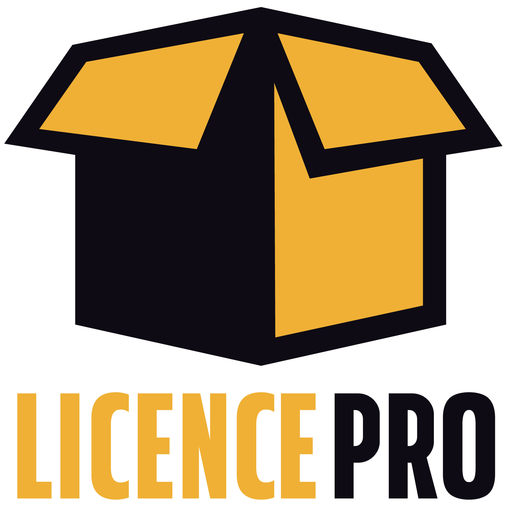 LicencePro Microsoft Licensing Solutions